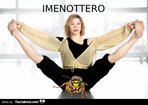 Forse non si capisce ... mah .. boh ... per farla più comprensibile ...