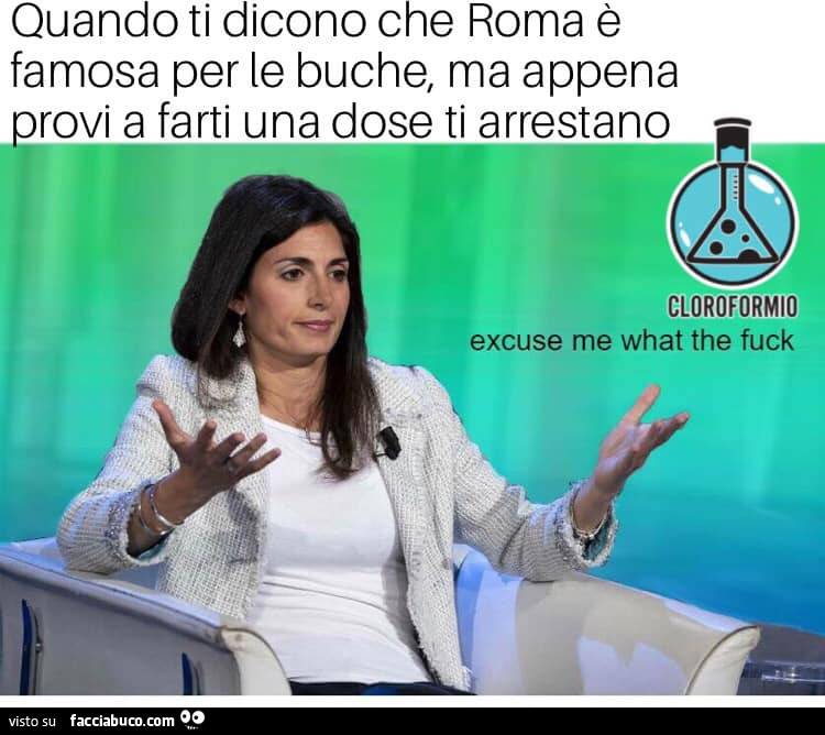 Tutti i meme su Virginia Raggi - Facciabuco.com
