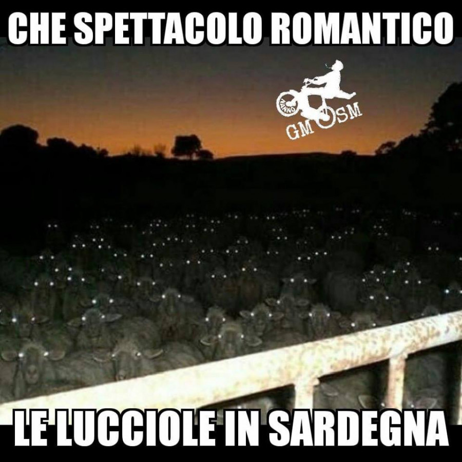 Tutti i meme sulla Sardegna - Facciabuco.com