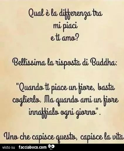 Qual'è la differenza tra mi piaci e ti amo? Bellissima la risposta di ... Qual'è la differenza tra mi piaci e ti amo? Bellissima la risposta di ...