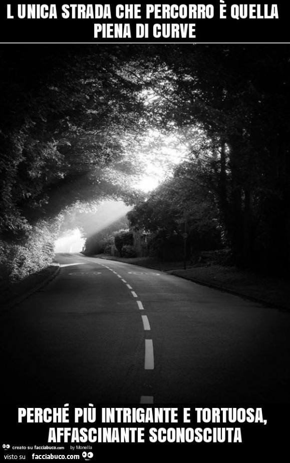 L unica strada che percorro è quella piena di curve perché più ...