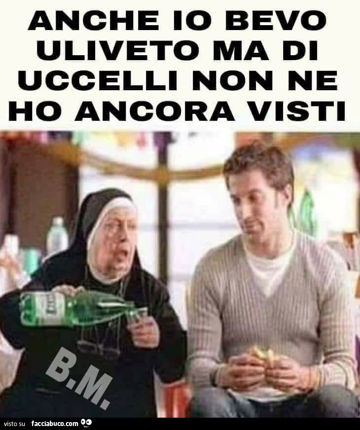 Anche io bevo uliveto ma di uccelli non ne ho ancora visti - Facciabuco.com